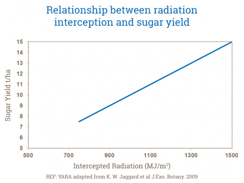 Maximising those sugars – Unium Bioscience Limited