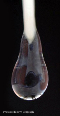 Root Exudates – Unium Bioscience Limited