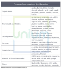 Harnessing the Power of Exudation – Unium Bioscience Limited